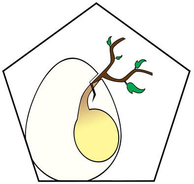 Elemental Emblem of Life by theDreamsmith on DeviantArt