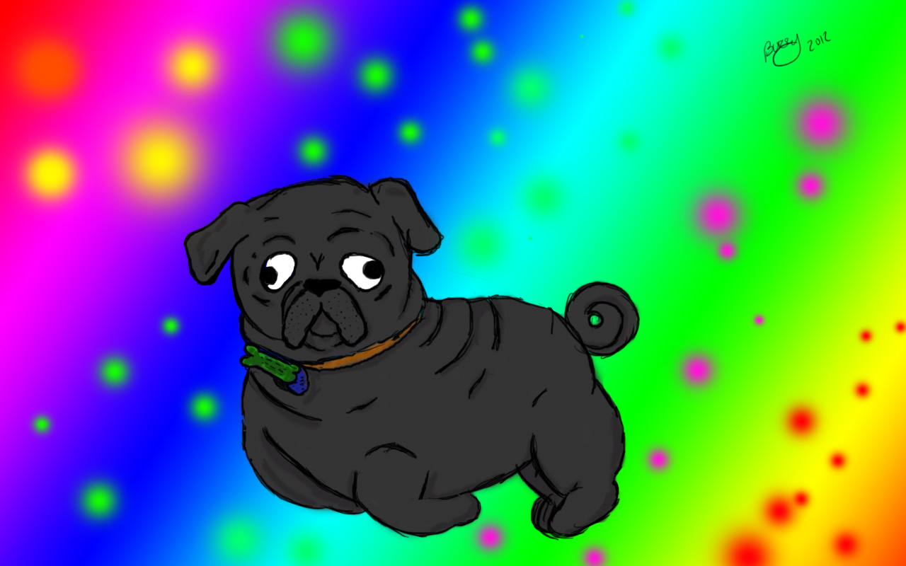 Rainbow Pug by Graystin on DeviantArt