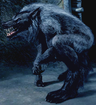 Vincent Corvinus by Vampyrwolf on DeviantArt