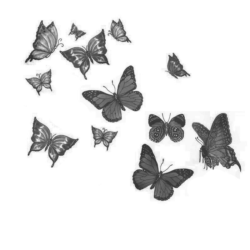 Butterfly Brush by BrokenFeline-Stock on DeviantArt
