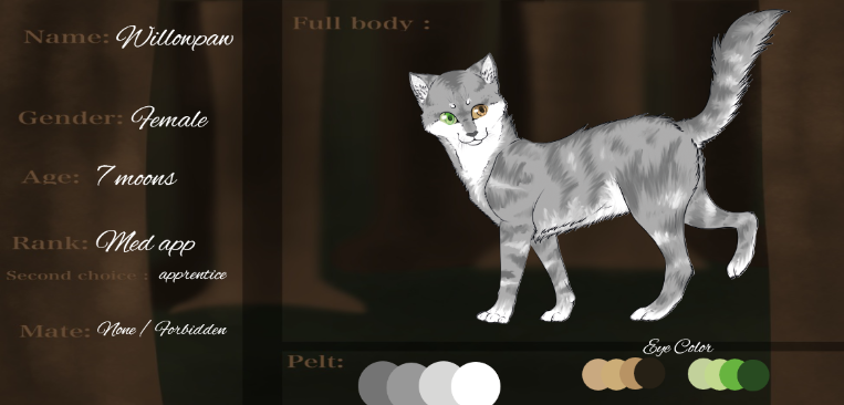 Willowpaw || Ref Sheet by Nightblaze24 on DeviantArt