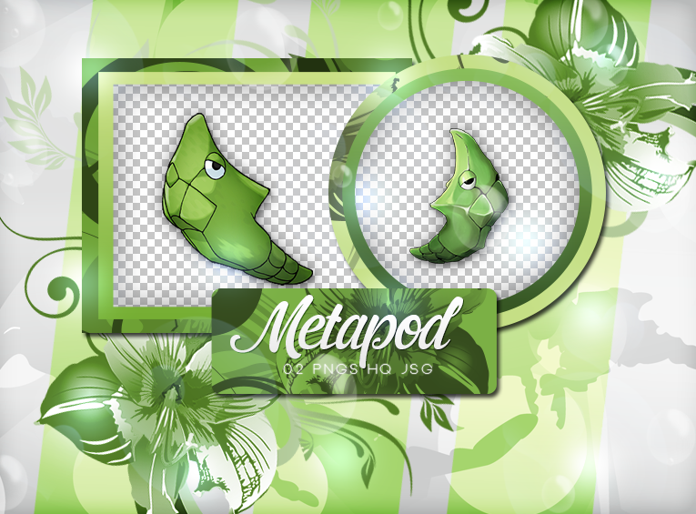 Metapod PNG by JuicySecretGirl on DeviantArt