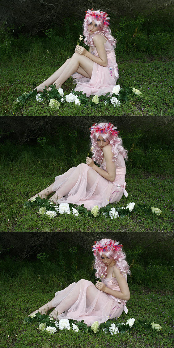 Blossom 9 by faestock on DeviantArt