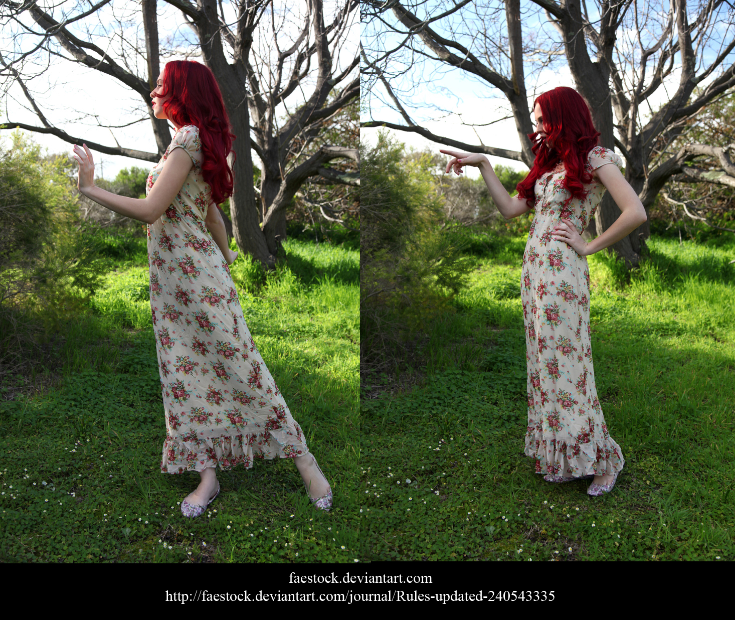 Rose6 by faestock on DeviantArt