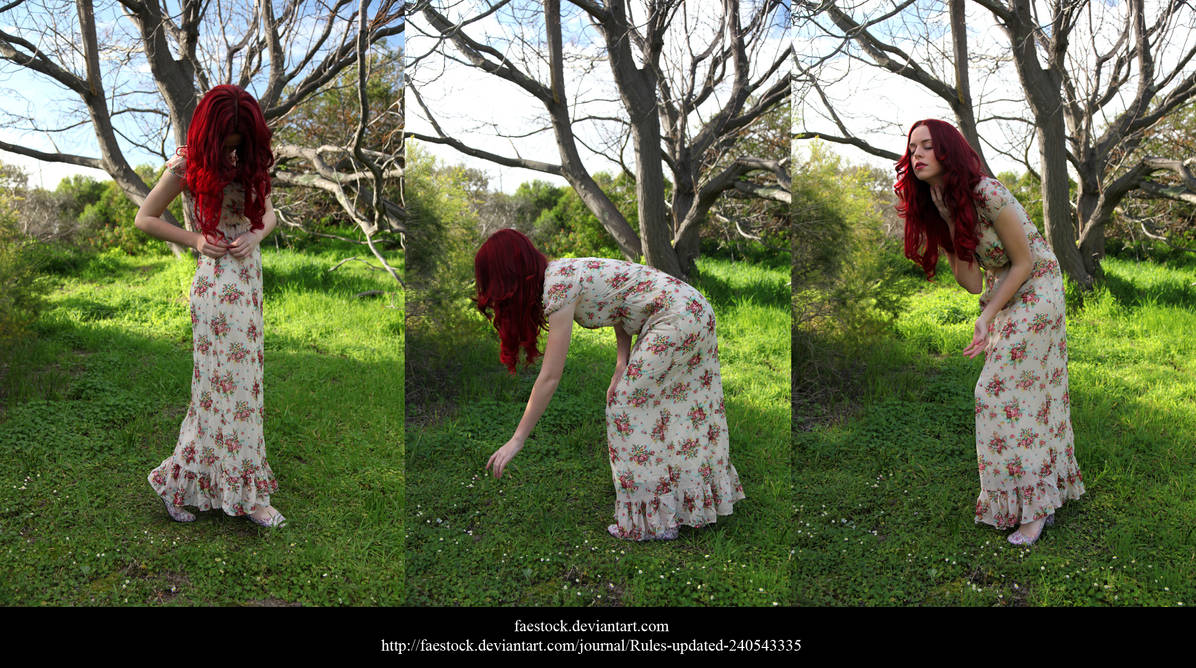 Rose21 by faestock on DeviantArt