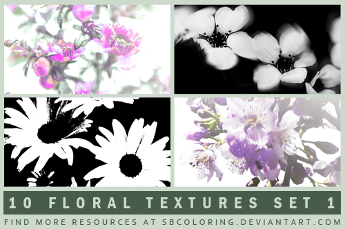 Floral Textures Set 1 by sbcoloring on DeviantArt