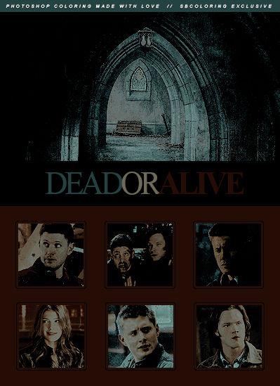 Dead Or Alive Premium PSD by sbcoloring on DeviantArt