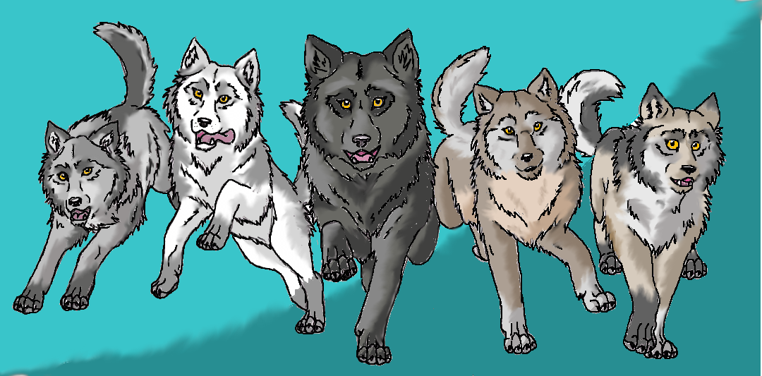 Wolf Pack Run by AmberSchuler01 on DeviantArt