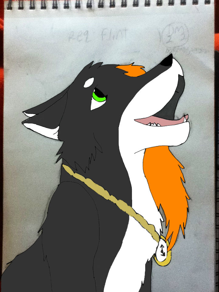 Flint by EternalHusky on DeviantArt
