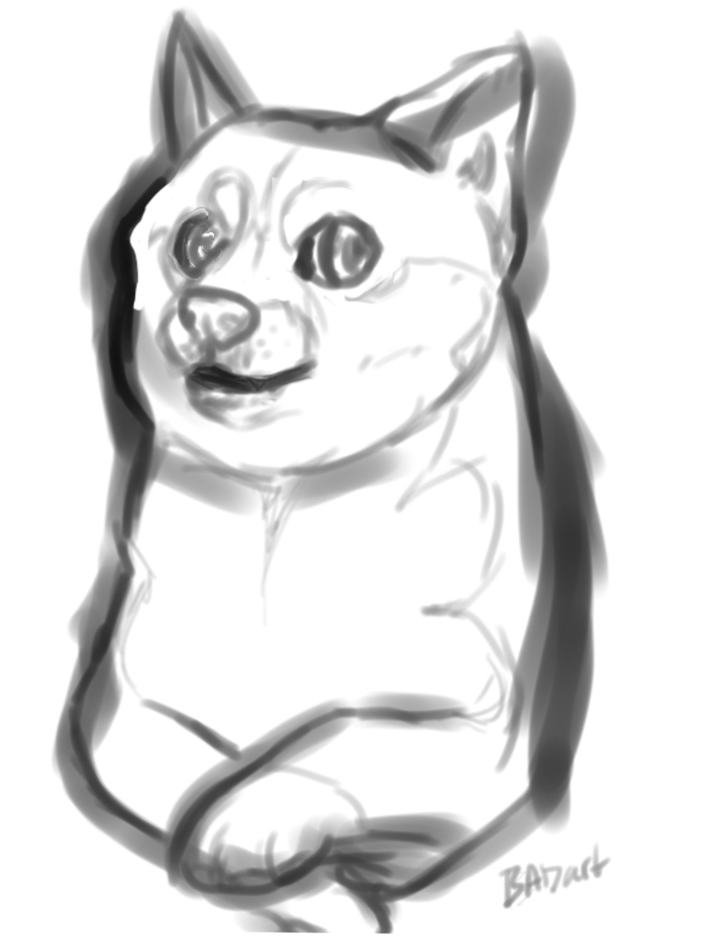 Doge sketch by AnnaBogouslavski on DeviantArt