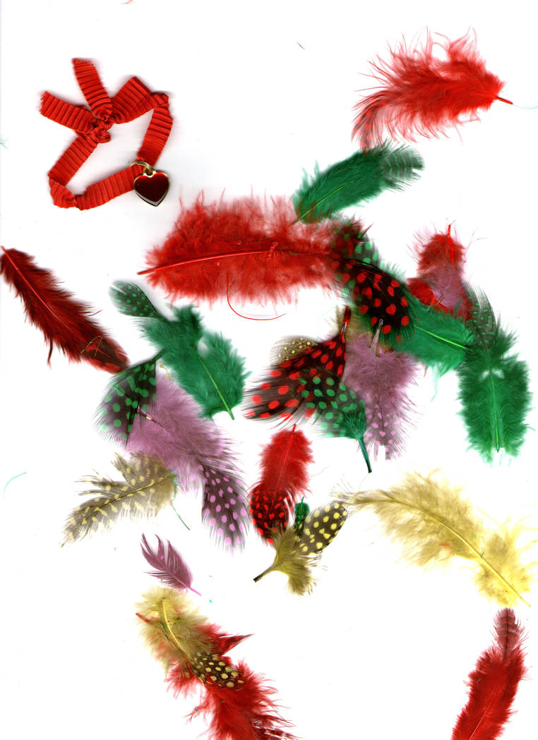 Naruto Fanfiction - Feather Falling - Chapter 1 by TAyukii on DeviantArt