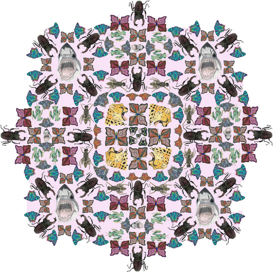 Insect Kaleidoscope 1 by HittingTheBigTime on DeviantArt
