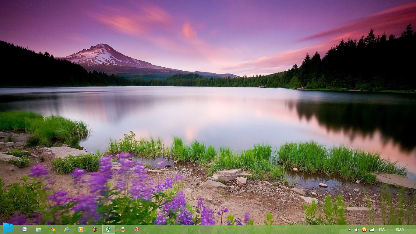 Windows 8 Official Flower Wallpaper