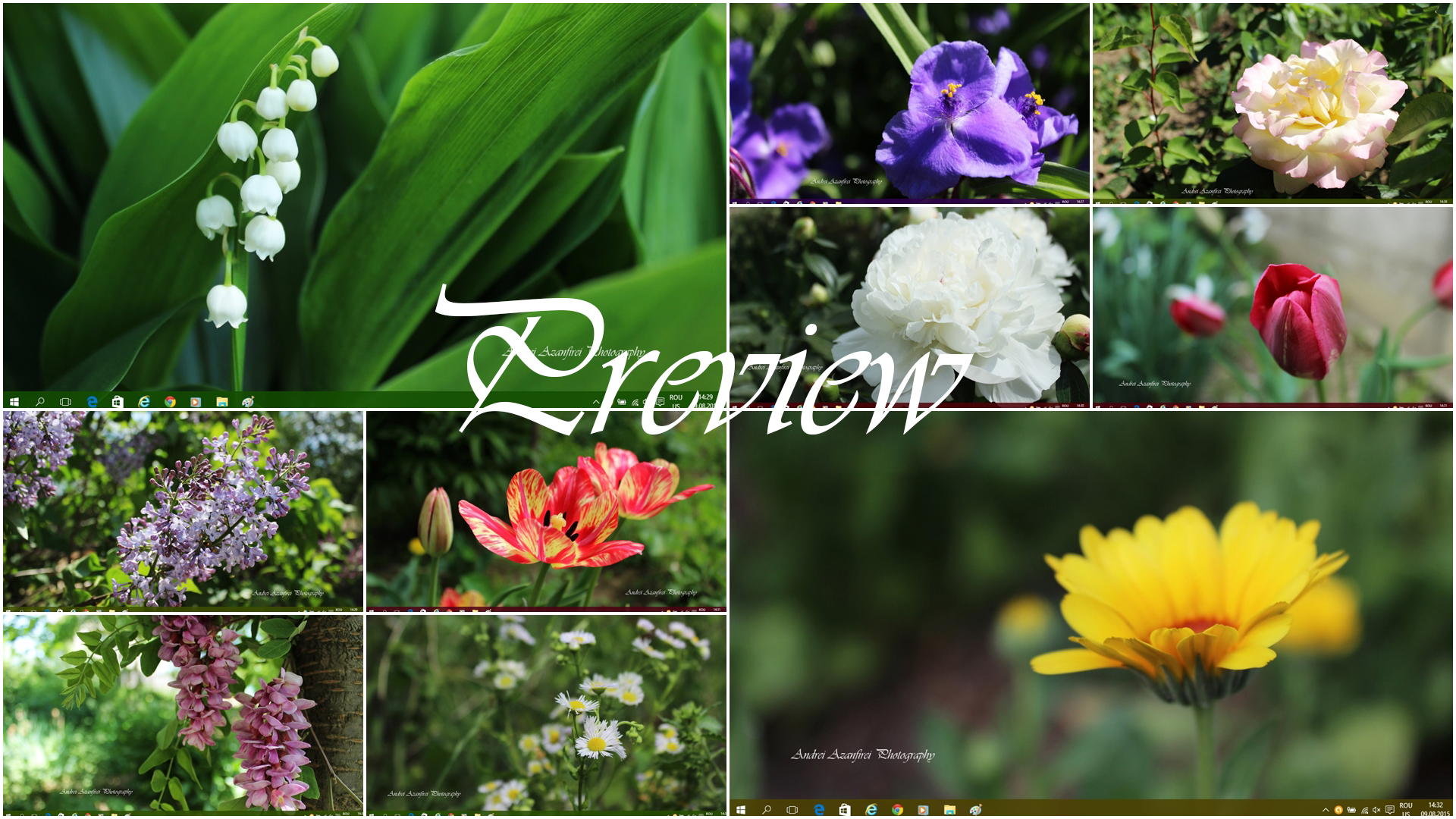 Desktop Wallpaper For Windows 8 Flowers