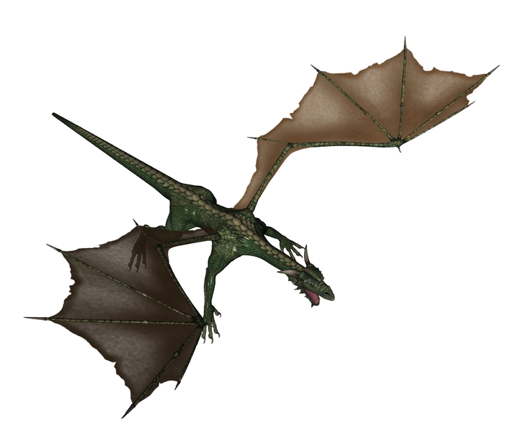 Adult Dragon 1 by SilverRose-Stock on DeviantArt