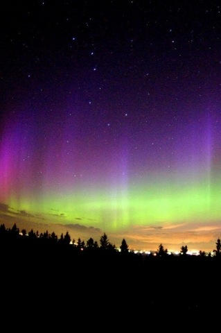 Rose Warrior Chapter 3 by madiquin185 on DeviantArt