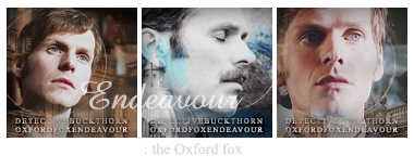 Endeavour the Oxford fox : icon set by Keila-the-fawncat on DeviantArt
