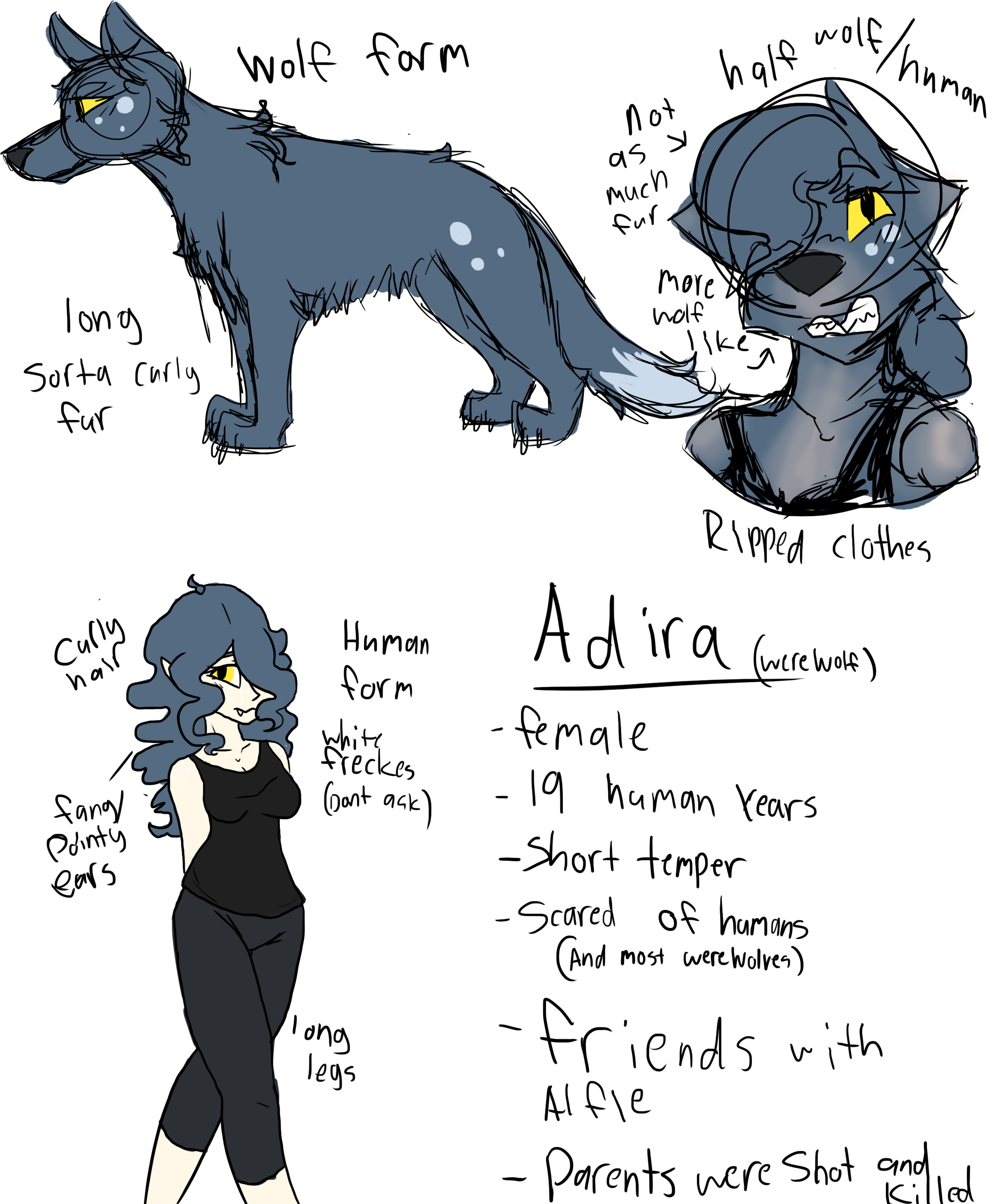 Adira -reference sheet- by KamodoDraws030 on DeviantArt