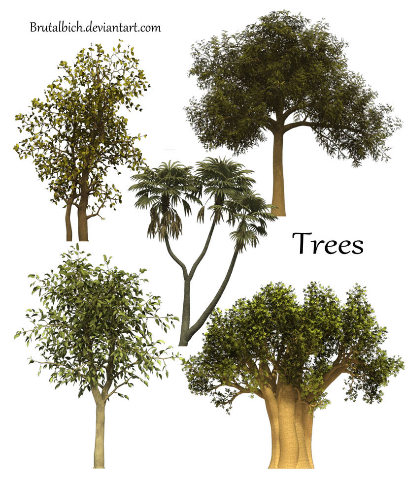 Trees PSD by brutalbich on DeviantArt
