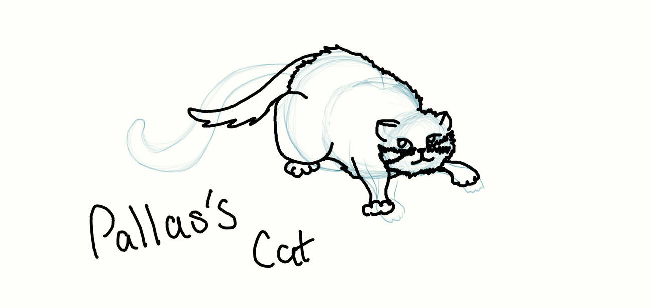 Pallas's Cat by lazydayArtist on DeviantArt