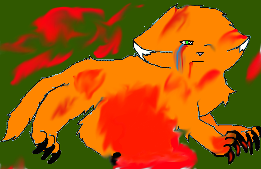 Firestars death by raainbowwdash99 on DeviantArt