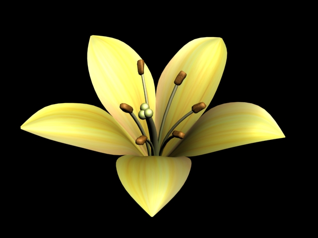 3D Lily Stock (download) by WandaRocket on DeviantArt