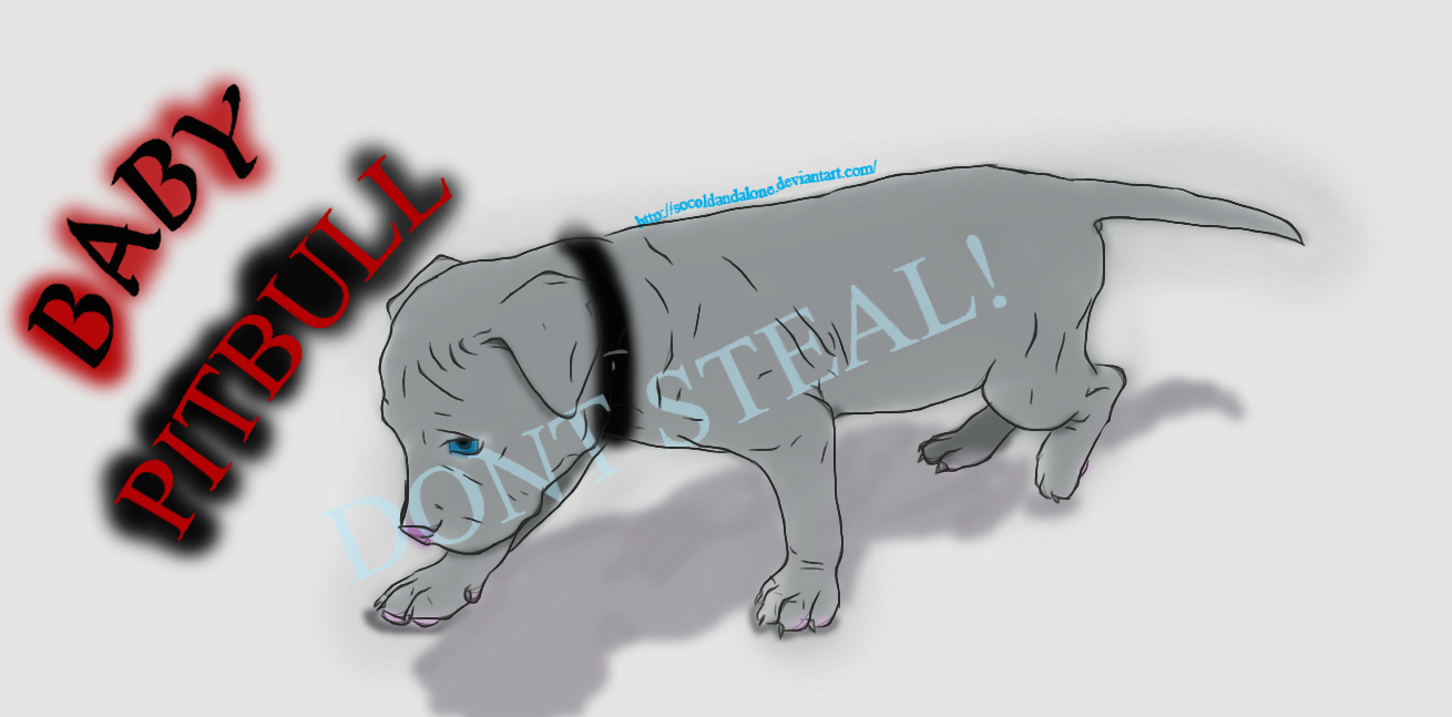 Baby Pitbull! by Socoldandalone on DeviantArt