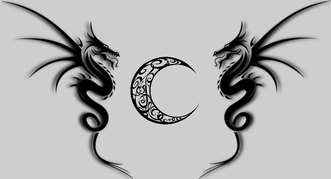 Magi: Flight of the Moon Guild Banner by WolvenWarriordragon on DeviantArt