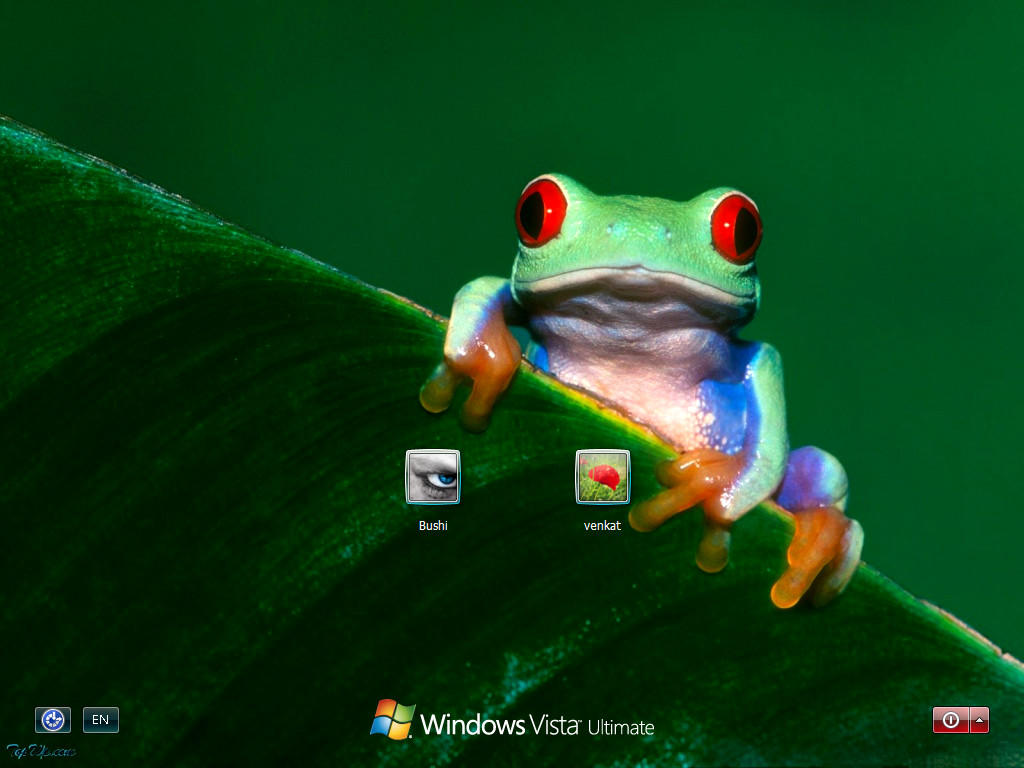 Red eyed frog logon for xp by bushijaggu on DeviantArt
