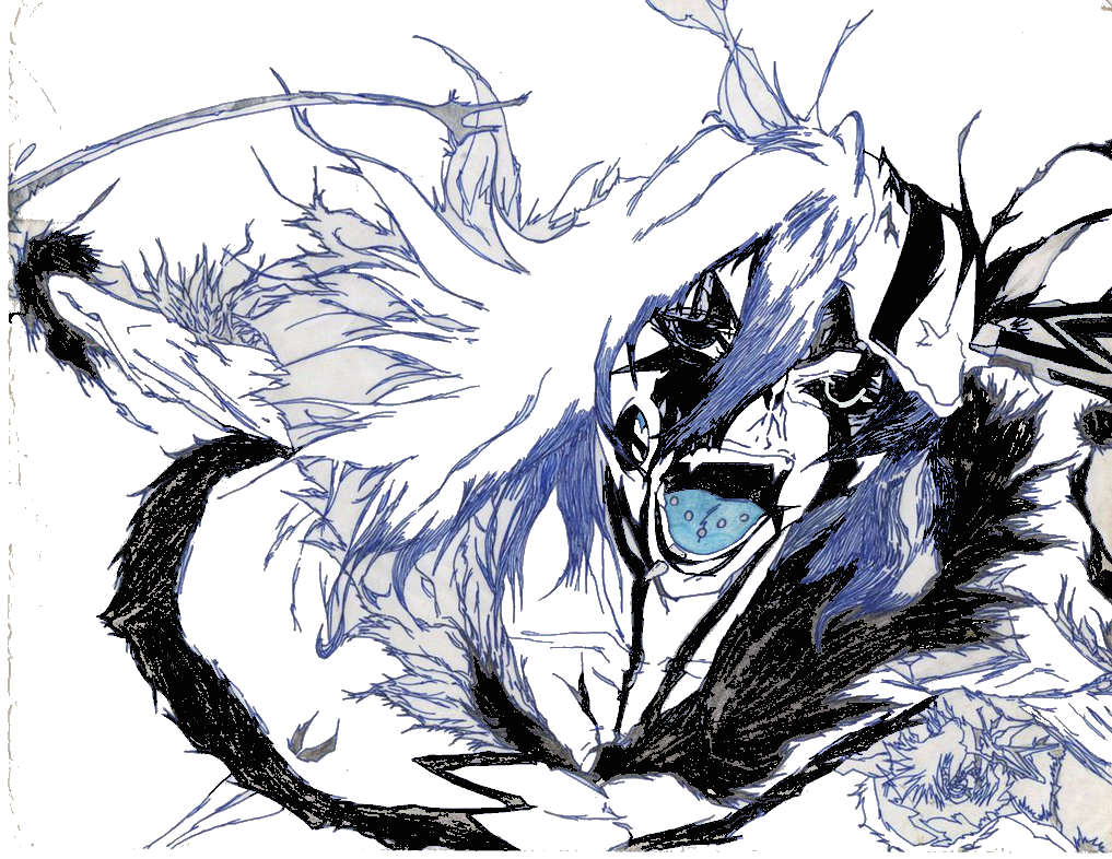 Hollow Tensa Zangetsu