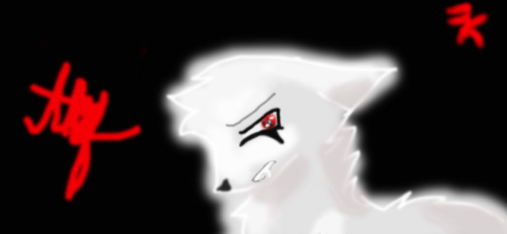 Akef wallpaper by Cockatiel-frenzy on DeviantArt