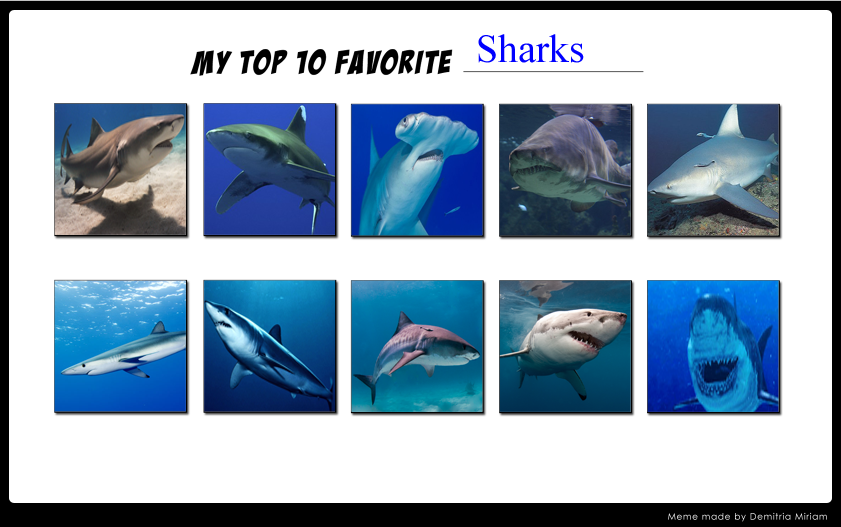 Top 10 Sharks by Leviarex on DeviantArt