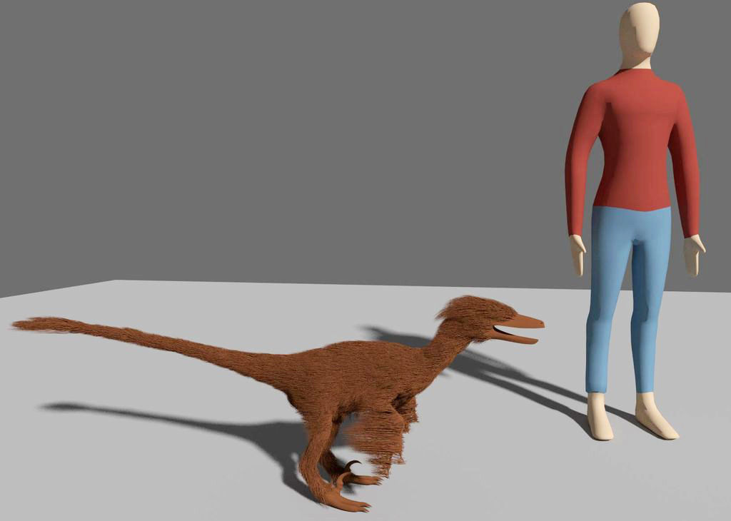 Velociraptor simple feather test by StefanPWinc on DeviantArt