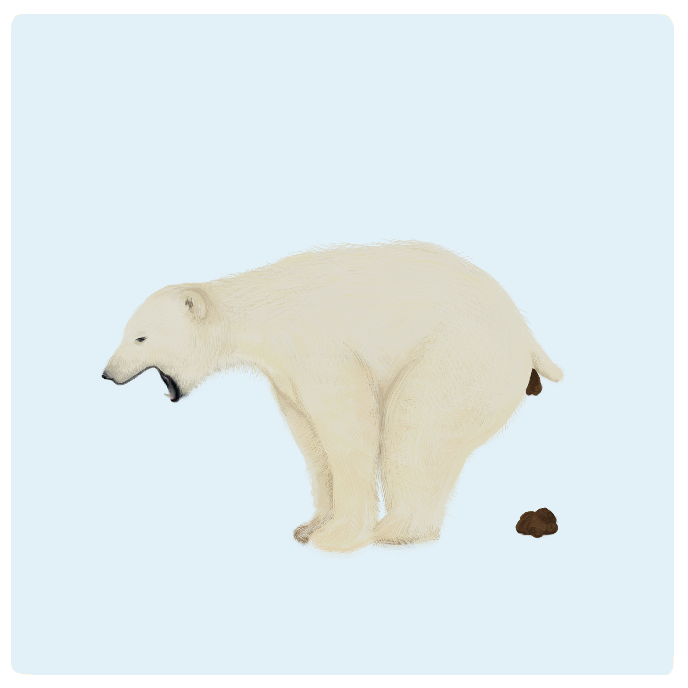 Bear poo by liaramirezart on DeviantArt