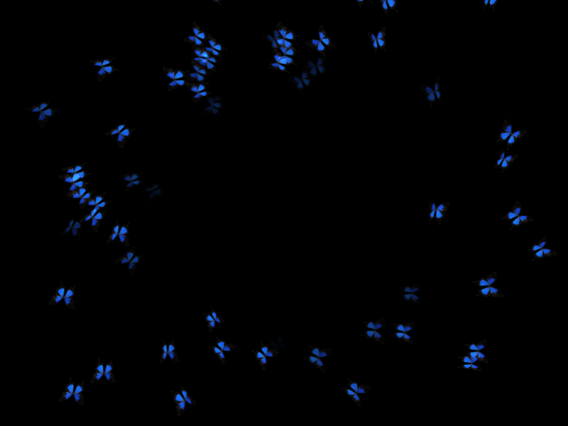 MMD AMR Butterfly Effect DL by Chestnutscoop on DeviantArt