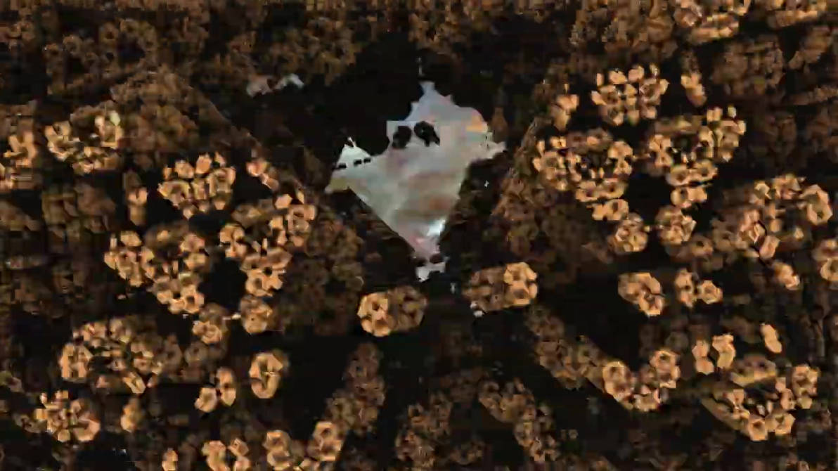 3d Fractal Space animation - 30FPS - QHD WQHD by Dr-Pen on DeviantArt