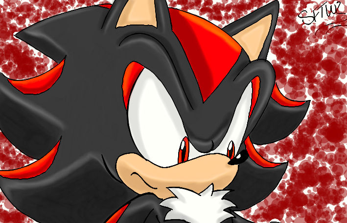 Shadow On Muro by SonicForTheWin2 on DeviantArt