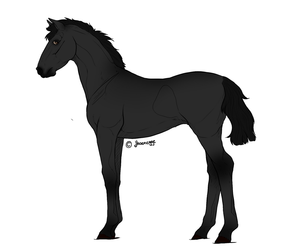 F2U Free Foal Lineart by JKoenegge by JKoenegge on DeviantArt
