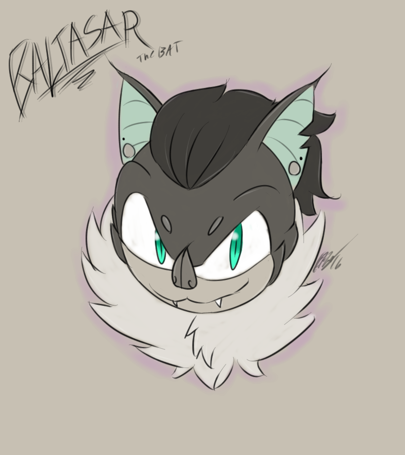 Baltasar The Bat (sonic oc) by HaelHallo on DeviantArt