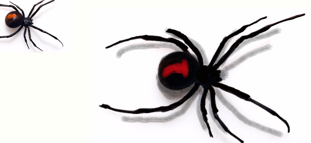 Which one is real? by Warriorcatsgeeks on DeviantArt