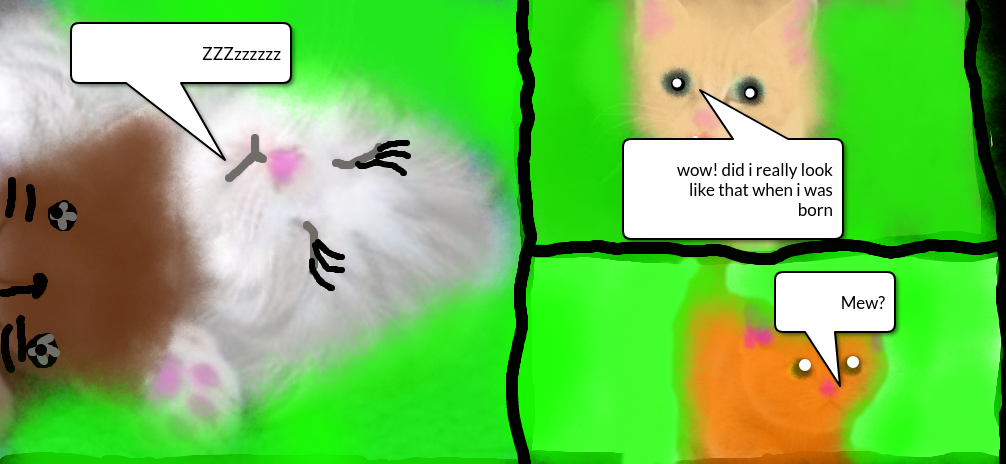 Sharpwing's Tragedy pg 12 by Warriorcatsgeeks on DeviantArt