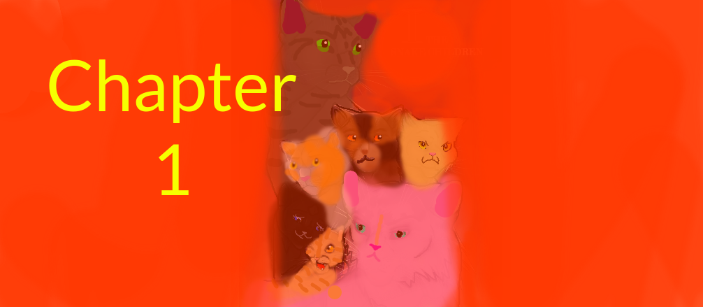 Alleycats original chapter 1 cover by Warriorcatsgeeks on DeviantArt