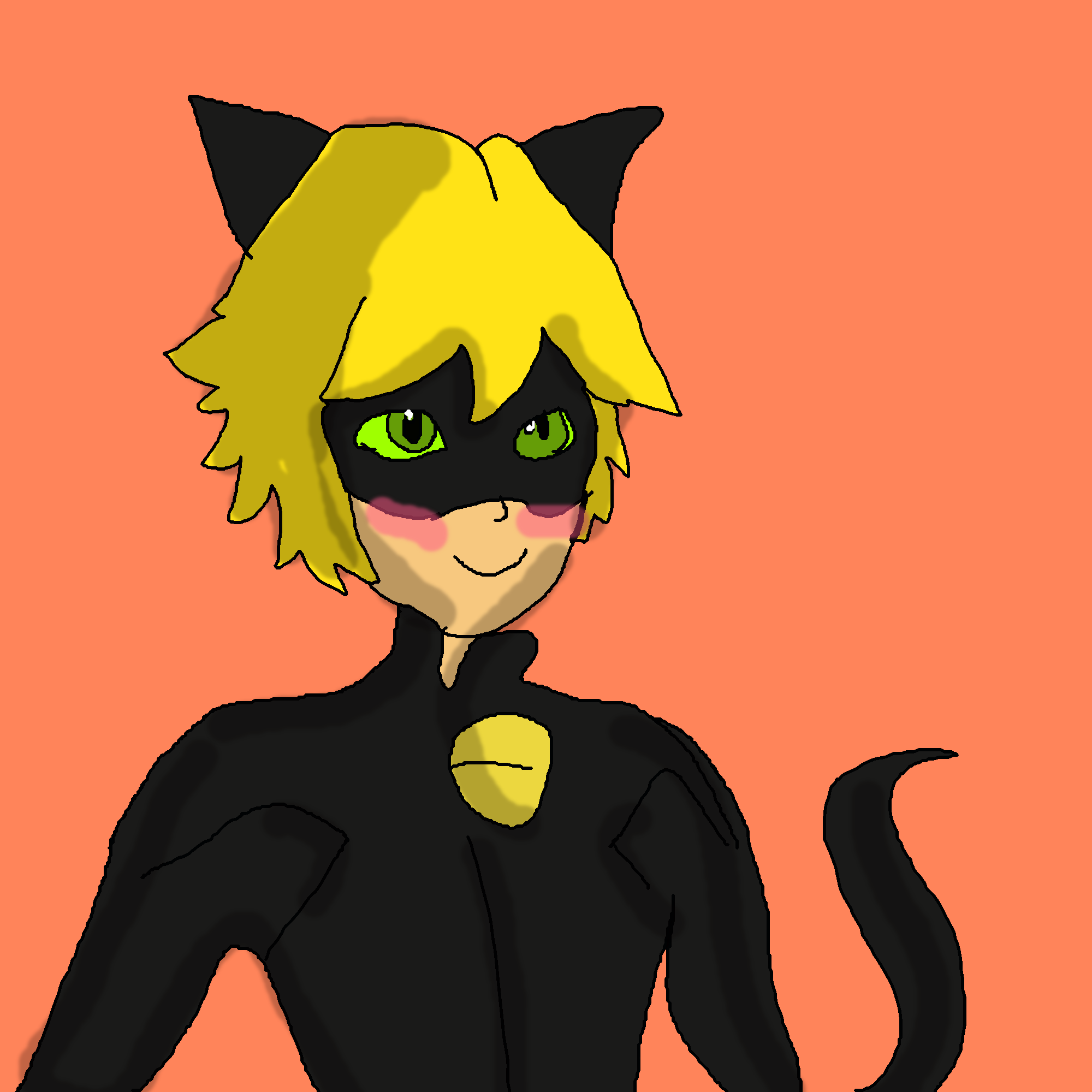cat noir by Warriorcatsgeeks on DeviantArt