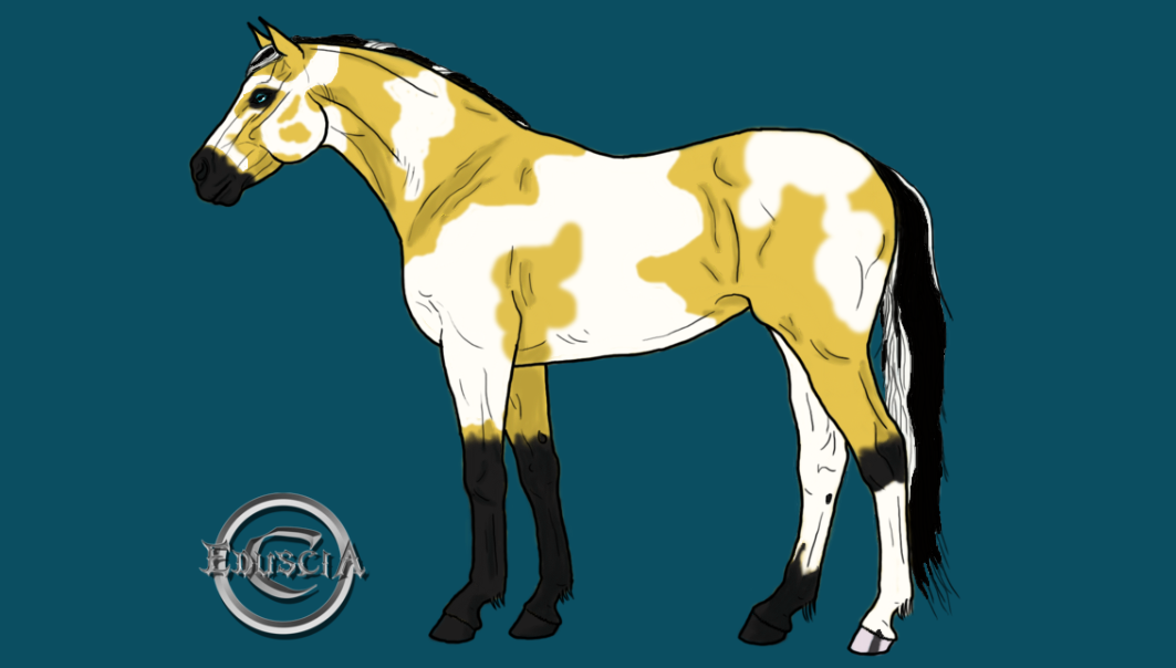 Buckskin Paint by AdorkableZombie96 on DeviantArt