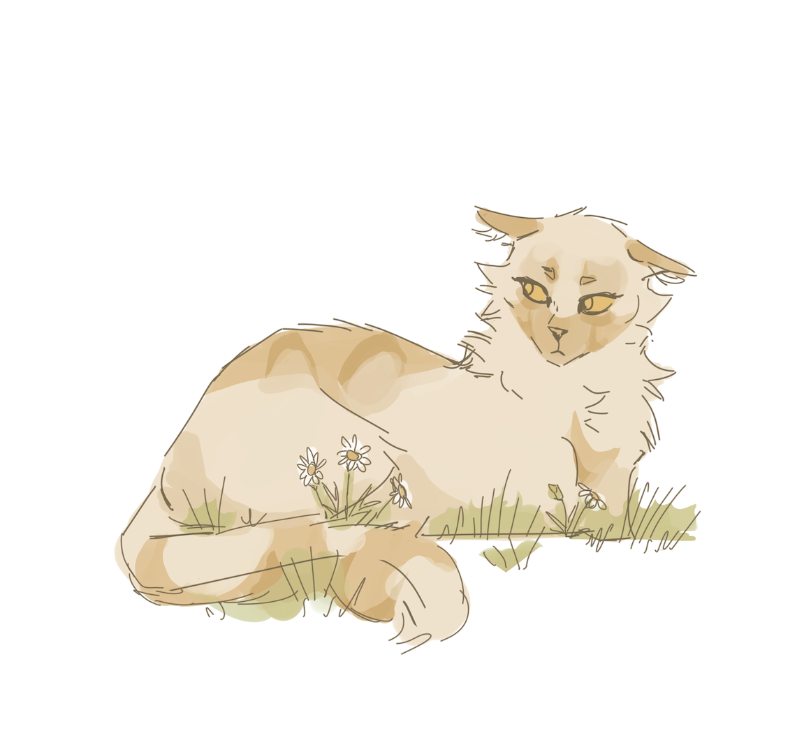 Mothwing by Mistleleaf on DeviantArt