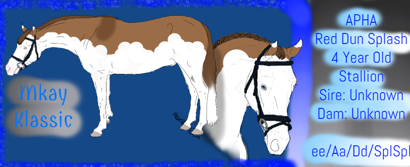 Red Dun Splash White Stallion by Harleyloveme2039 on DeviantArt