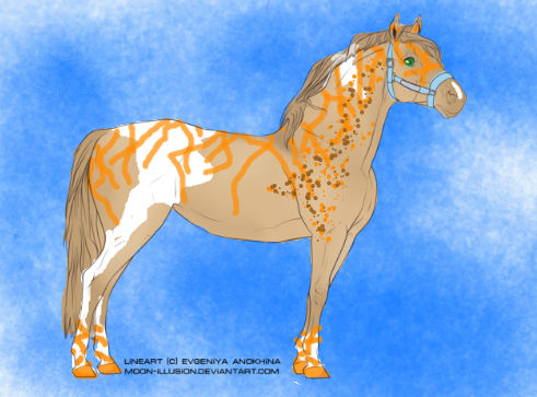 Golden Zephyr Old Ref by Harleyloveme2039 on DeviantArt