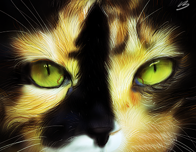 Calico by ThatAnnoyingRabbit on DeviantArt