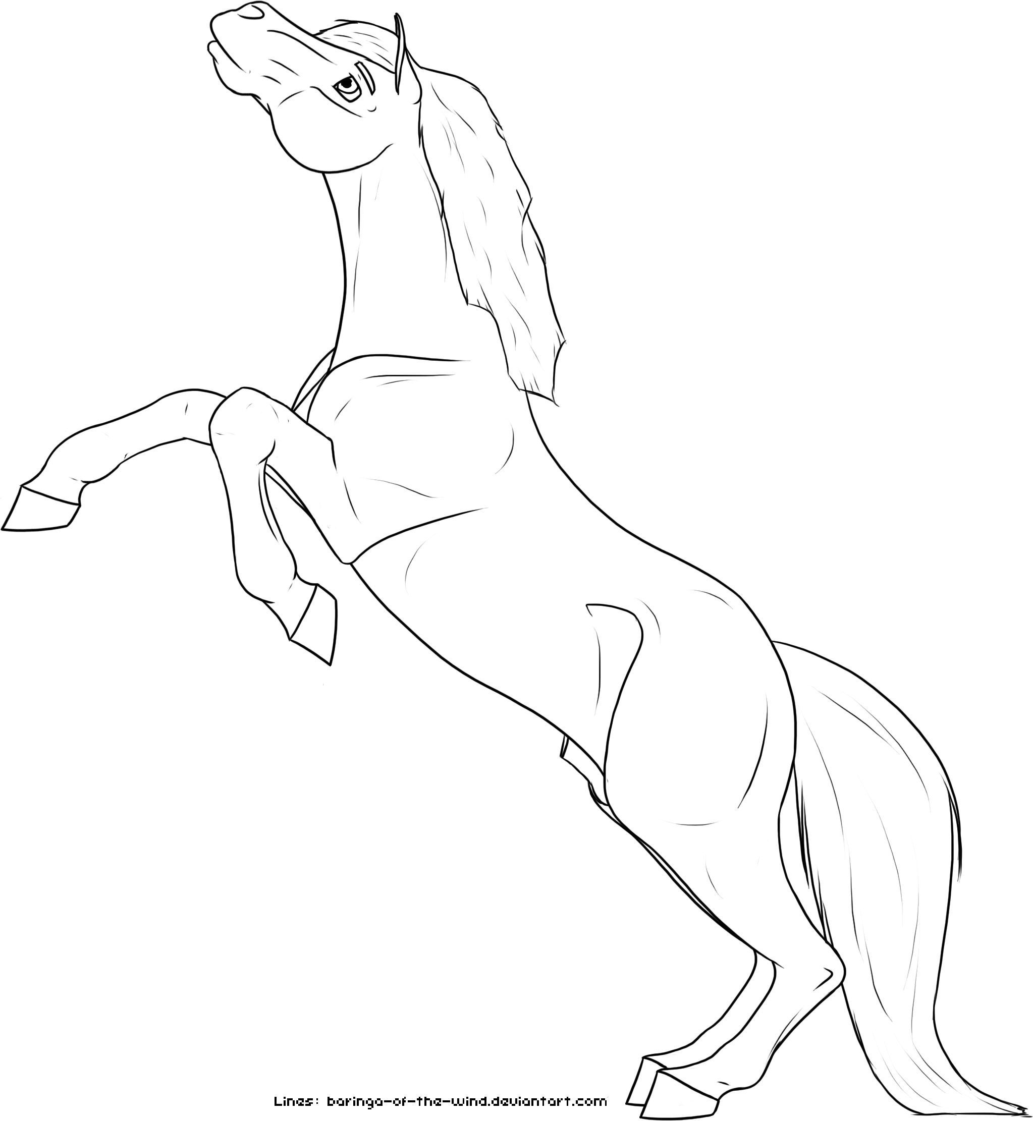 Thoroughbred Rearing - Lineart by Baringa-of-the-Wind on DeviantArt