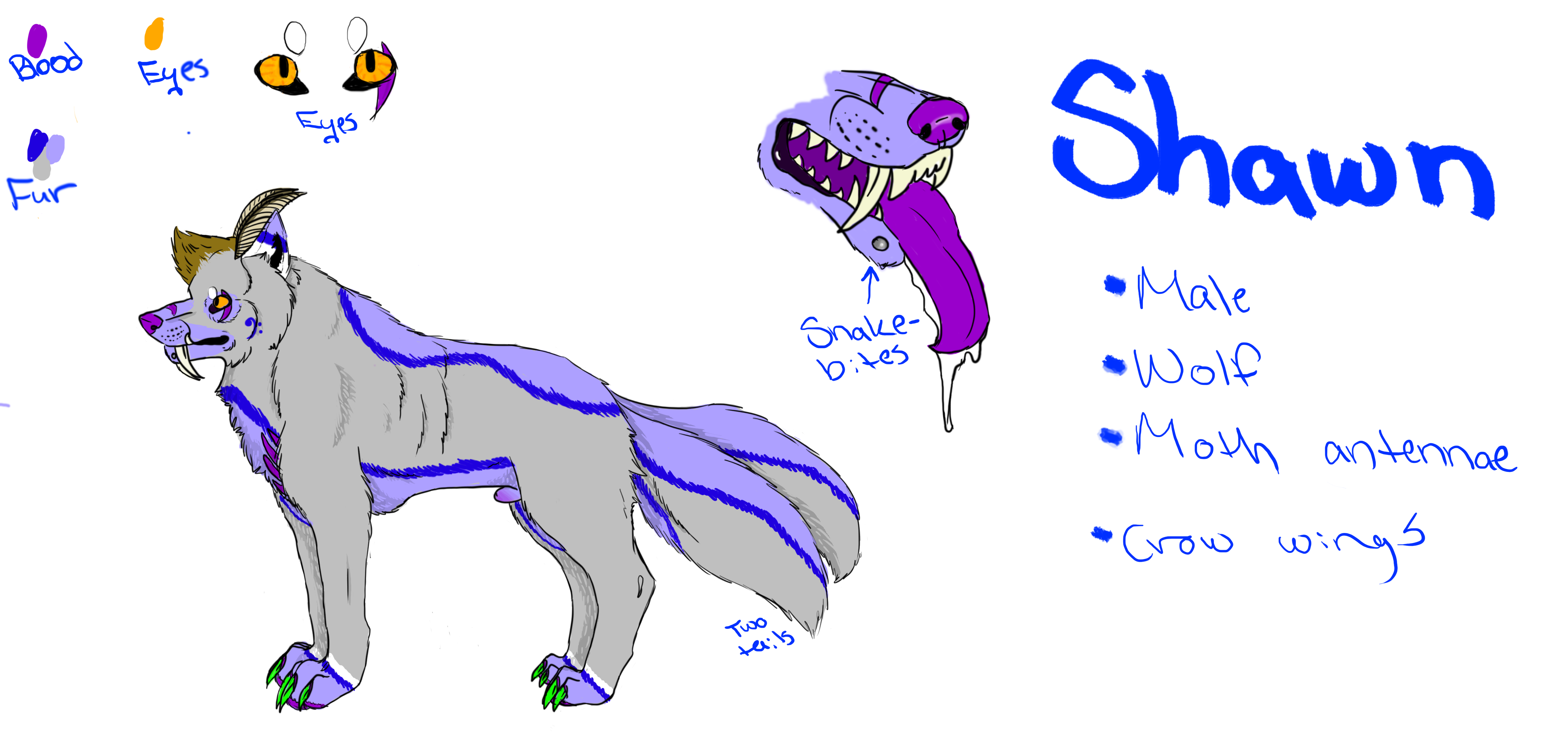 Shawn Ref by BigBroAlfred on DeviantArt